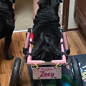 Pediatrics Name Tag Name Badge Personalized Custom ID Tag - Etsy