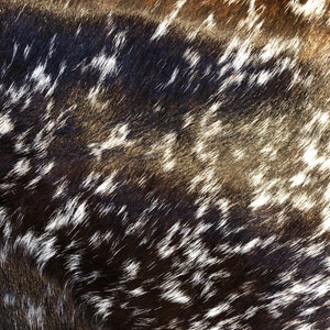 Genuine Cowhide Material Offcuts for Arts and Crafts - Etsy