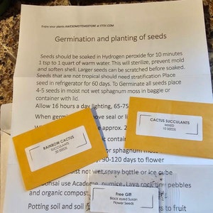 100 White Dove Orchid Flower Seed and 20 Laughing Bumblebee Seed High ...