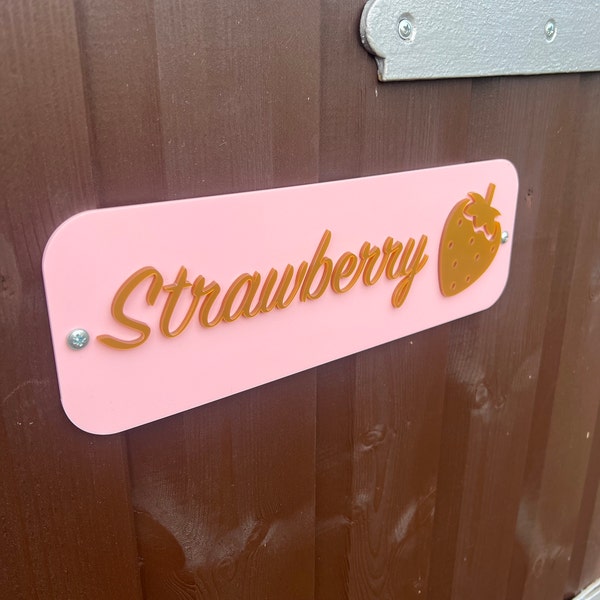 Stable Sign | Acrylic Stall Name Plate | Horse Door Sign - Etsy