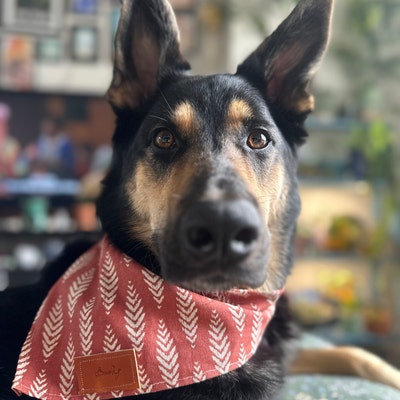 Pomsky or Select Different Breed Outline 1 1/4 - Etsy