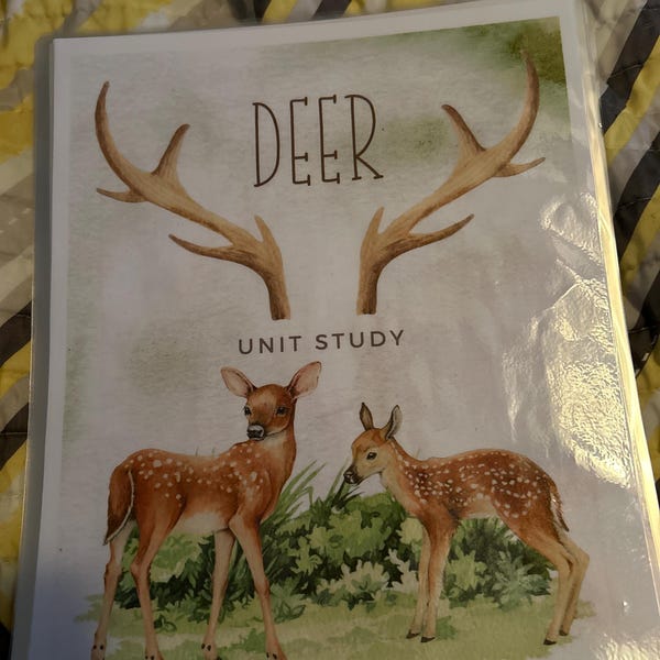 PENGUINS Unit Study, Life Cycle, Anatomy, Nature Study, Science ...