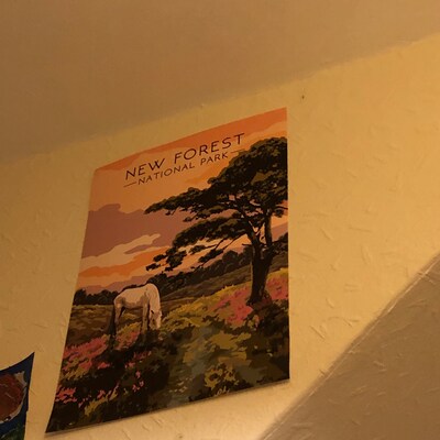 New Forest National Park Poster, Travel Print, New Forest Ponies ...