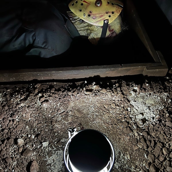 HALLOWEEN PROP - Eyes of Fear, Cut off Face Prop - Etsy