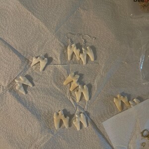 Real Animal Teeth Assorted Species 25 Pieces Stock No. 1-52 - Etsy