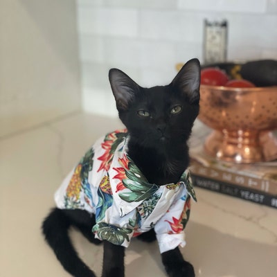 Summertime Aloha Shirt for Cats - Etsy