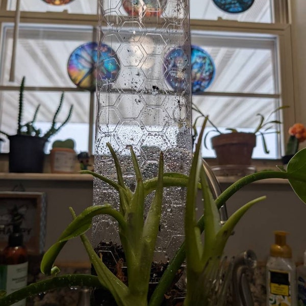 Super Clear Moss Pole D Shaped Stackable Multiple Sizes - Etsy
