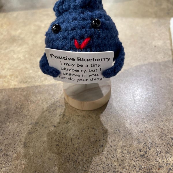 Cute Crochet Positive Octopus and Emotional Support Octopus Gift ...