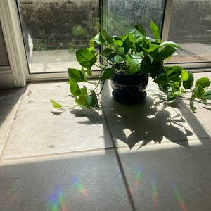 Sun Face With Lashes Window Cling Bling Holographic Rainbow | Etsy