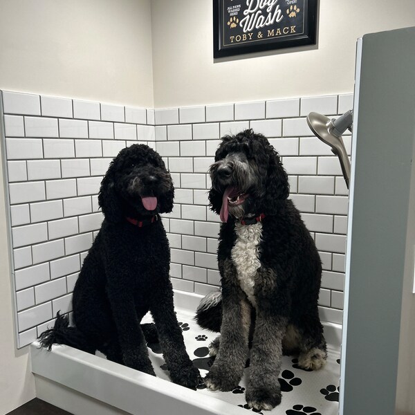 Personalized Dog Grooming Sign, Laundry Room Decor, Laundry Sign, Dog ...