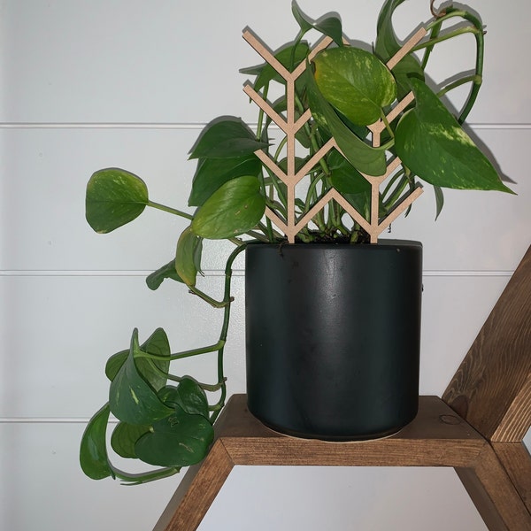 Boho Plant Trellis Houseplant Stakes SVG File Bundle for Glowforge ...