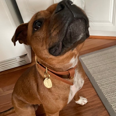 LINUS: Hand Stamped Personalized Custom Pet ID Tags for Dogs and Cats ...