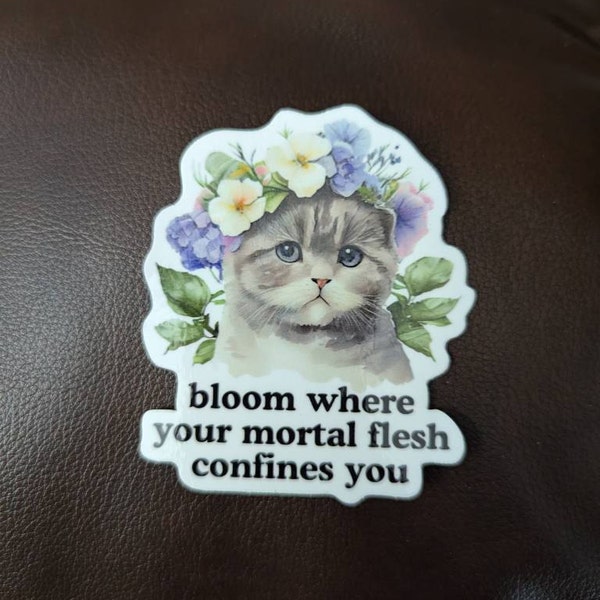 Cute Prairie Dog Rural Leftist Antiracist Progressive Vote Political ...