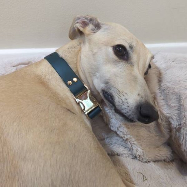 Braided Biothane Paracord Collar | Mothersday Gift| Durable Handmade ...