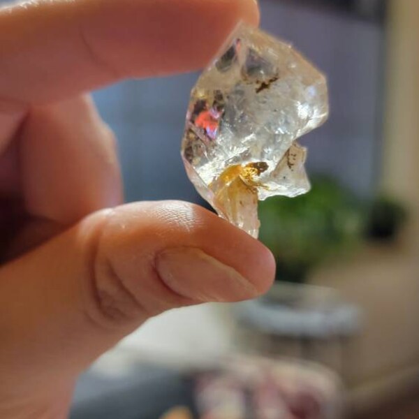 Rainbow Ammonite Crystal Shell (28.2g) Raw Crystal Fossil, Opalized ...