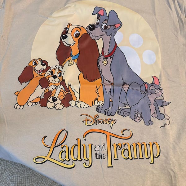 Disney Lady and Tramp Family Shirt, Vintage Lady and Tramp T-shirt ...