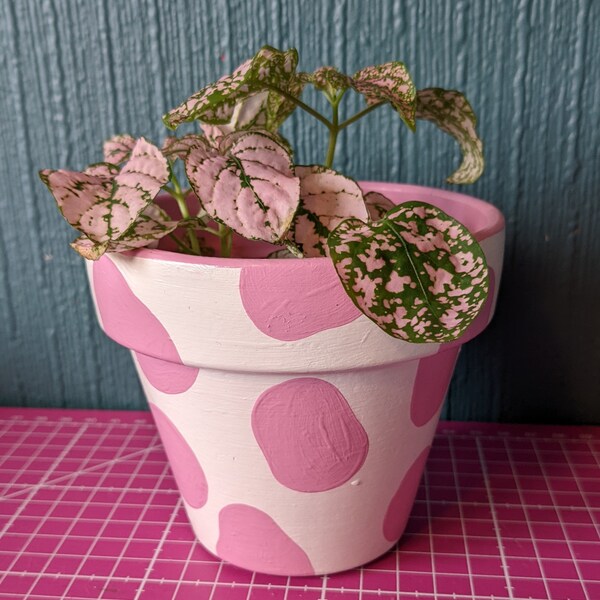 Hand Painted Pink Strawberry Cow Print Indoor Plant Pot, Terracotta ...
