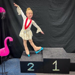 Handmade Red Confetti Sequin Disco Velvet Competition Figure Ice ...