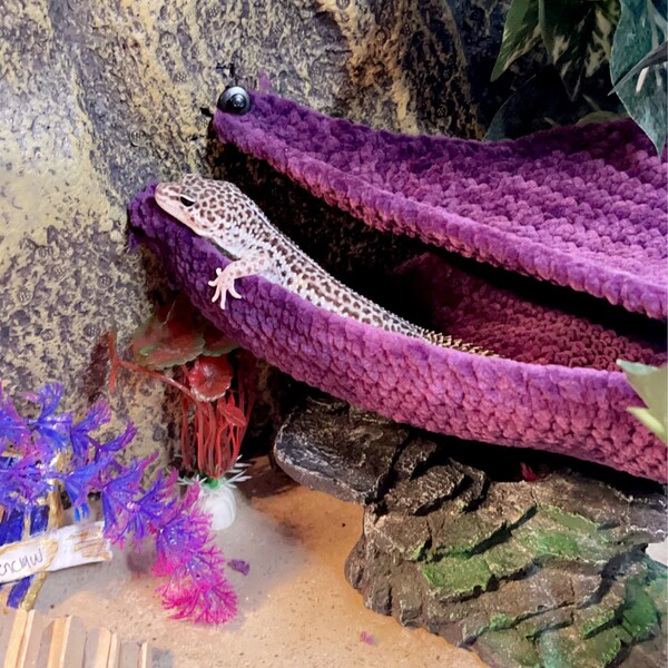 2 in 1 Hide Hammocks, Double Leopard Gecko Hammock, Small Reptile ...
