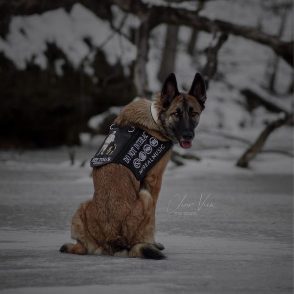 Vest adjustable Size, in Training Do Not Approach, Light Weight Sd ...