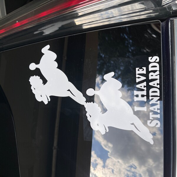 I Have Standards | DC820SP1 | High Quality Adhesive Vinyl Standard ...