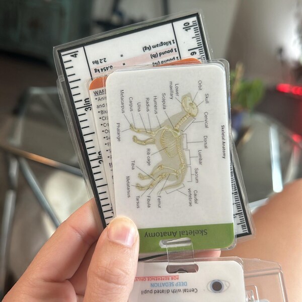 Comprehensive Badge Card- for ID Badge Clip Reel- Reference Card Pocket ...