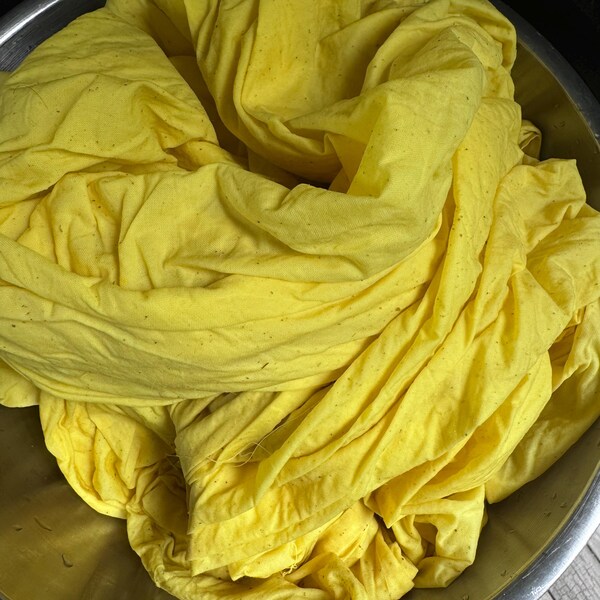 Organic Aleppo Oak Gallnuts: Natural Dyeing, Ink Making, Leather ...