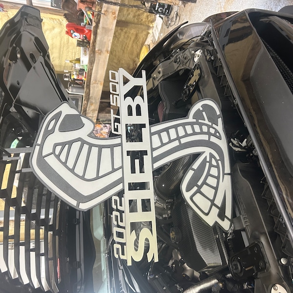 2016-2022 GT500 / GT350 RADIATOR COVER PLATE White and Blue Metallic - Etsy