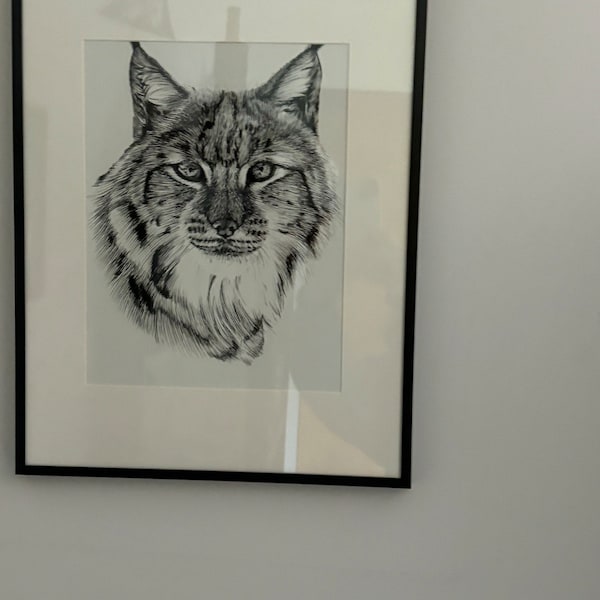 Safari Animals Field Guide Art Print, Wildlife Print of Serengeti ...