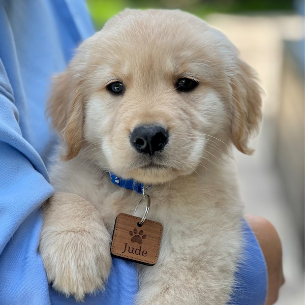 Personalised Pet Tag, Wood Pet Tags, Gift for Animal Lovers, Gifts for ...