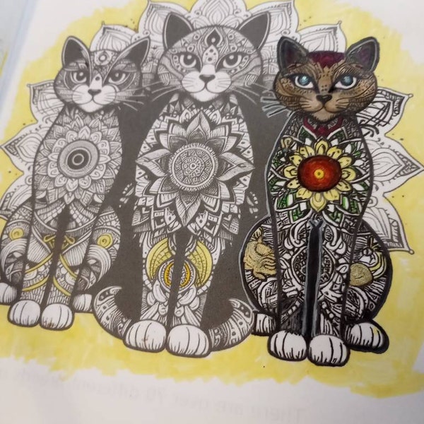 Stress Relief Coloring Book With Coping Techniques Adult Coloring Book ...