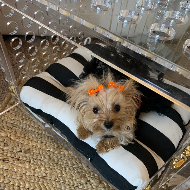 PrettyKennels - Etsy