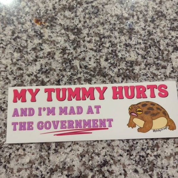 My Tummy Hurts and I’m Mad at the Government - Screaming Desert Rain ...