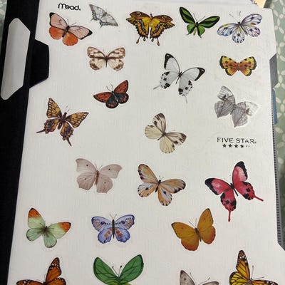 3D Pearl Stickers DIY Pearls 165 Pearls Pearl Crafts Decoration - Etsy