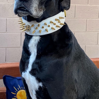 Luxury Big Dog Collar With Spikes 3 Inch Width - Etsy