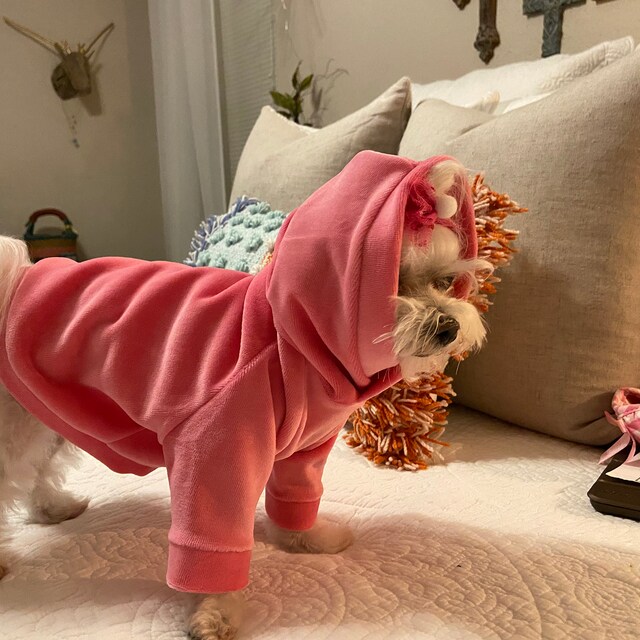 Ruff.de.Tails by RuffdeTails on Etsy