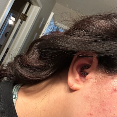 16G Spider Web Septum Ring Black Silver Clicker/cartilage/helix Earring ...