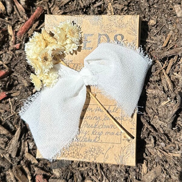 Rubber Rabbitbrush Seeds|ericameria Nauseosa|california Native ...