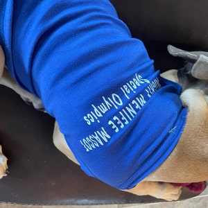 Custom Vet Tech Fanny Pack Vet Tech Tool Belt Vet Tech - Etsy