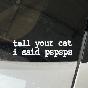 Scaredy Cat Funny Car Vinyl Decal Sticker - Etsy