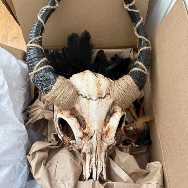 Ram Horn Skull Pagan Viking Ritual Skull Witchcraft Skull Deer Antler ...