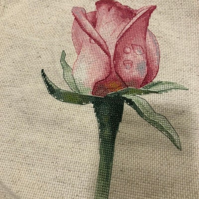 Rose Cross Stitch Pattern Garden Flowers Plants Rose With Dew Drops of ...