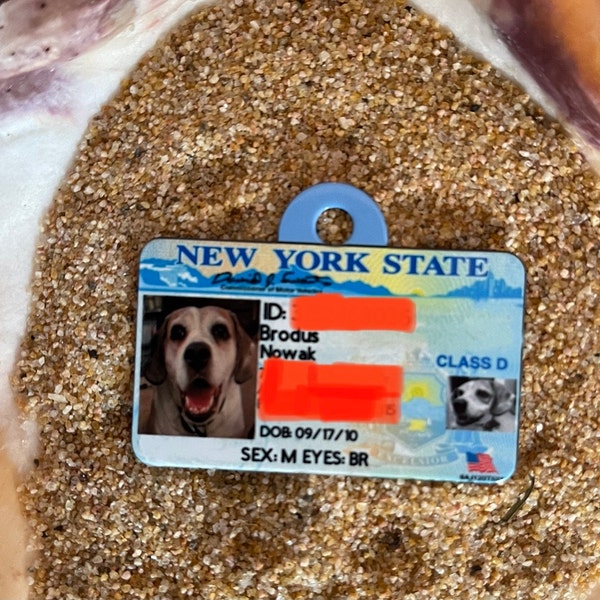 20 Pcs! License Plate Rectangle Double-sided Dog Bone Pet ID Tag ...