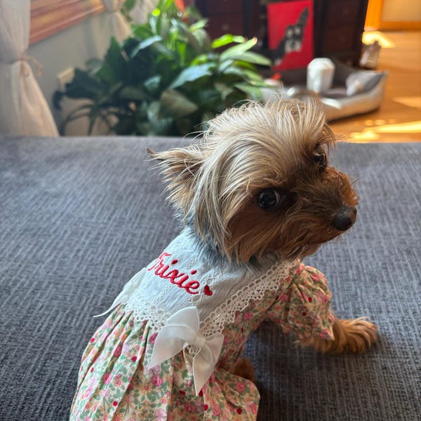 Personalized Dog Plaid Toy With Name Embroidered Dog Toy With Squeaky ...