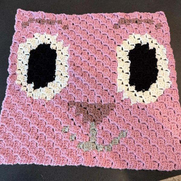 Bluey C2c Crochet Pattern - Etsy