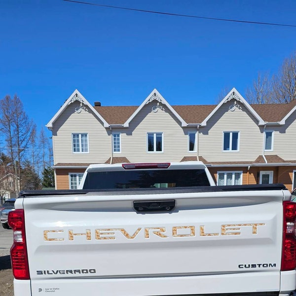 Domed 3D Raised Letters Inserts Compatible With TRD Pro Skid Plate ...