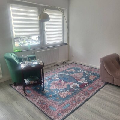 Art Deco House Fly Rug, Bug and Flowers Vintage Rug, Floral Persian Rug ...