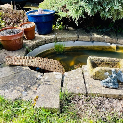 Hedgehog Pond Ramp, Hedgehog Conservation, Pond Decorations, Gardener ...
