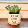 Emotional Support Plant Sassy Sayings Ceramic Plant Pot With Drainage ...