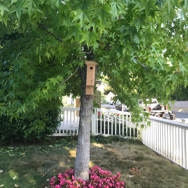 Petterson Style Blue Bird Boxes 2 Boxes - Etsy